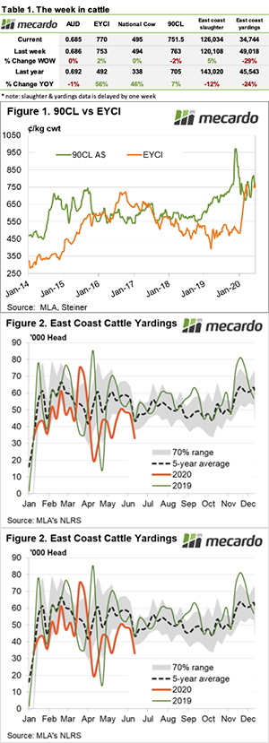 Domestic focus drives an EYCI record - StockCo New Zealand